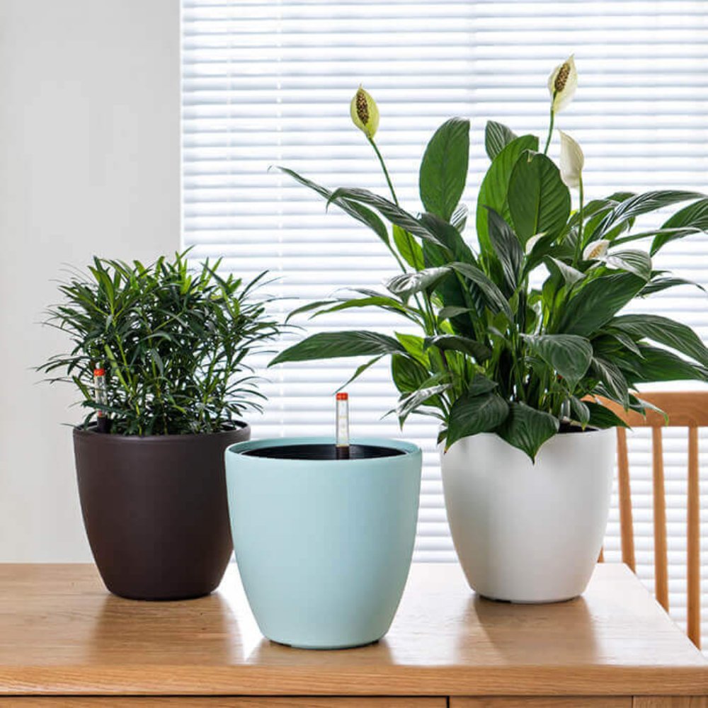 Elsie Jardinería - Maceteros autorregantes y Plantas Artificiales